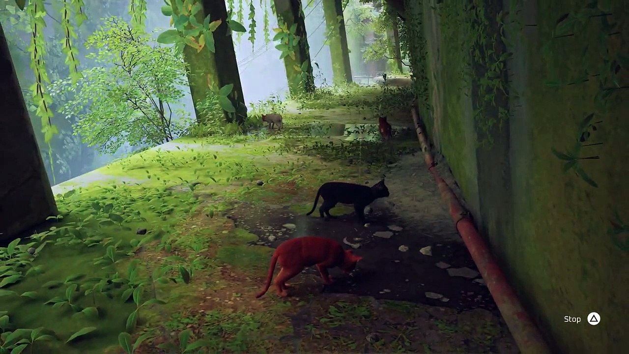 STRAY Gameplay Walkthrough Part 1 FULL GAME 60FPS PS5 No Commentary ...