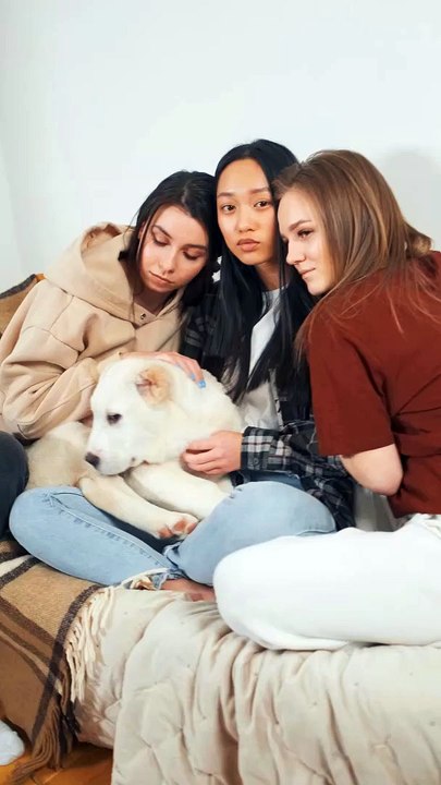 One Funny Dog Three Girls Compilation #3 | Animals Video - video ...
