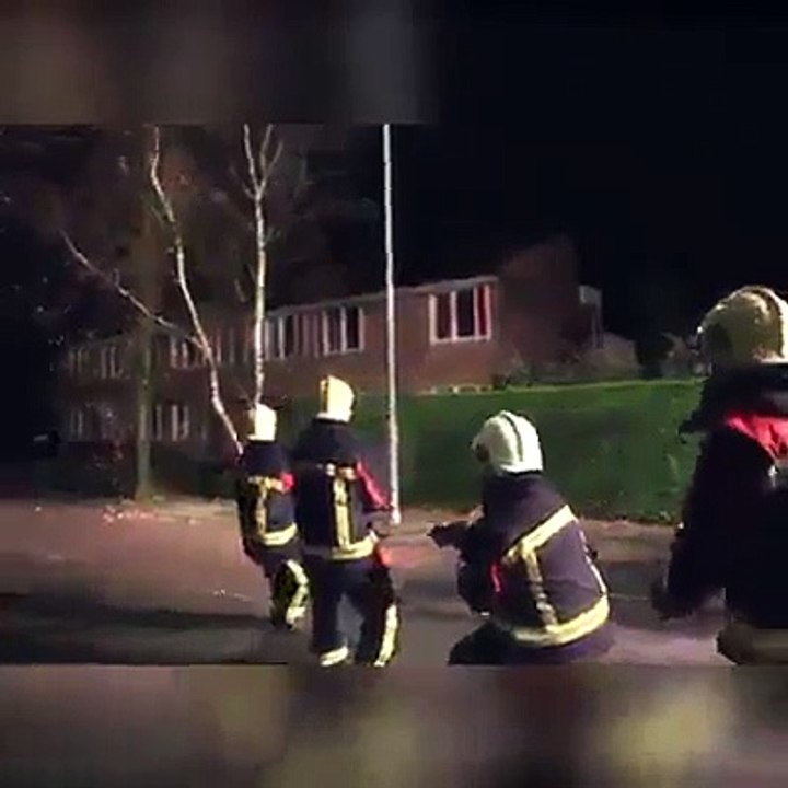 Dogs funny helping videos - video Dailymotion