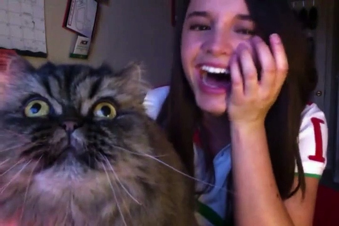 Cat Interrupts Opera Session to Sing - video Dailymotion