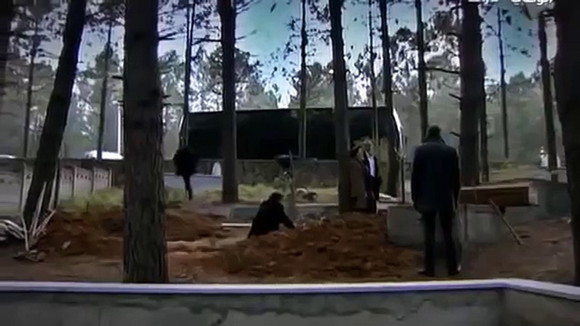 Lightning Bolt Larp Gif