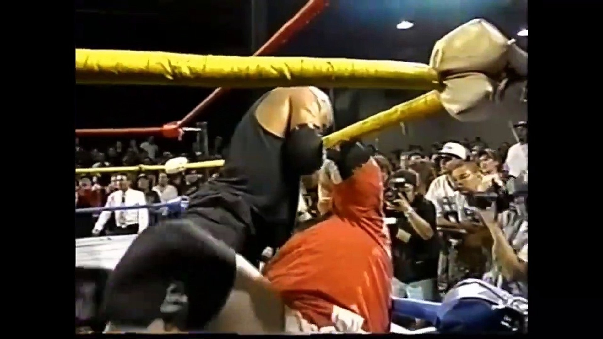 The Public Enemy Ecw