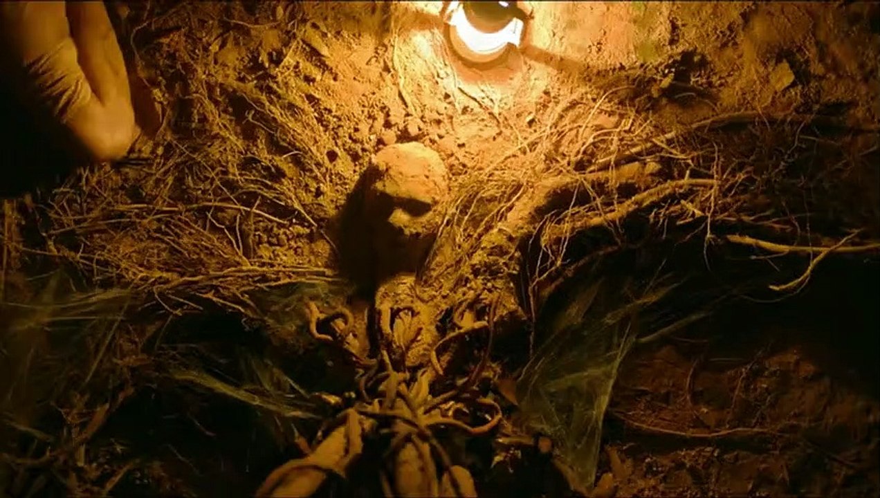 Tumbad marathi movie explanation - video Dailymotion