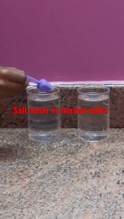 Experiment | Salt water vs Normal water - video Dailymotion