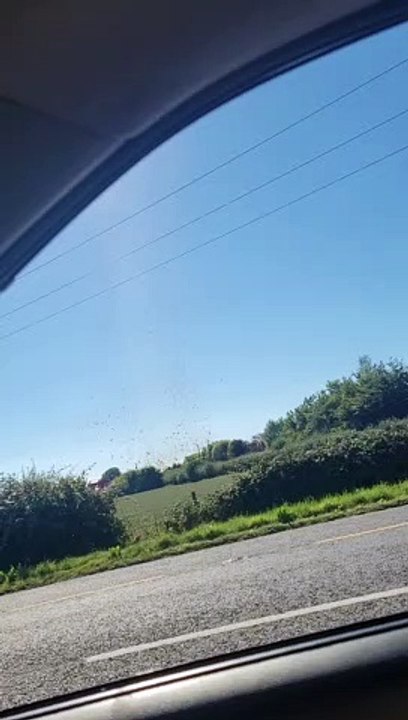 Dust Devil Creates Incredible Column of Hay - video Dailymotion