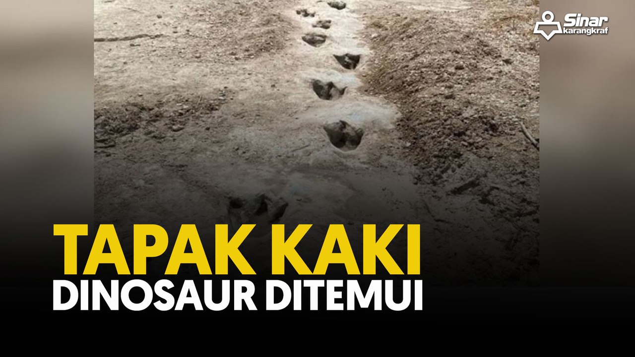 Tapak kaki dinosaur ditemui - Video Dailymotion