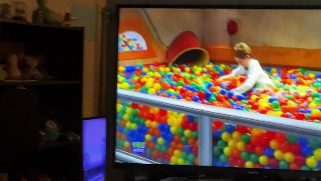 Numpty, Hapless, Pillock, Dippy, Dummkopf, Dimwit, Stupe, Lax, Clod ...