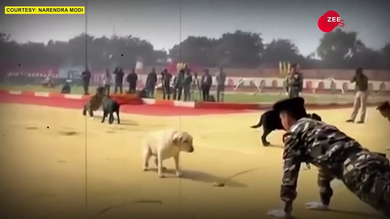 PM Modi की सुरक्षा करेगा ये खतरनाक डॉग, दुनिया भर में चर्चा _Mudhol ...