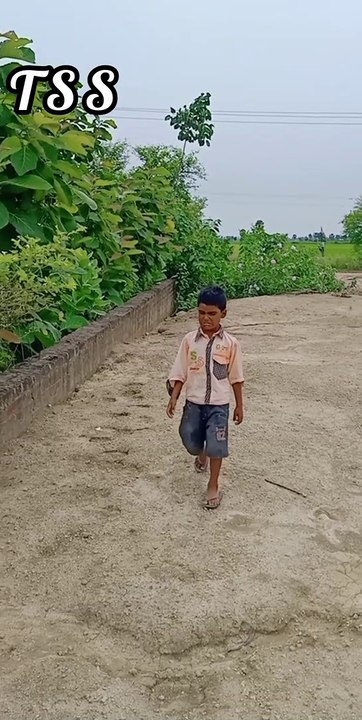 Comedy videos || Most funniest video || TSS ARMY - video Dailymotion