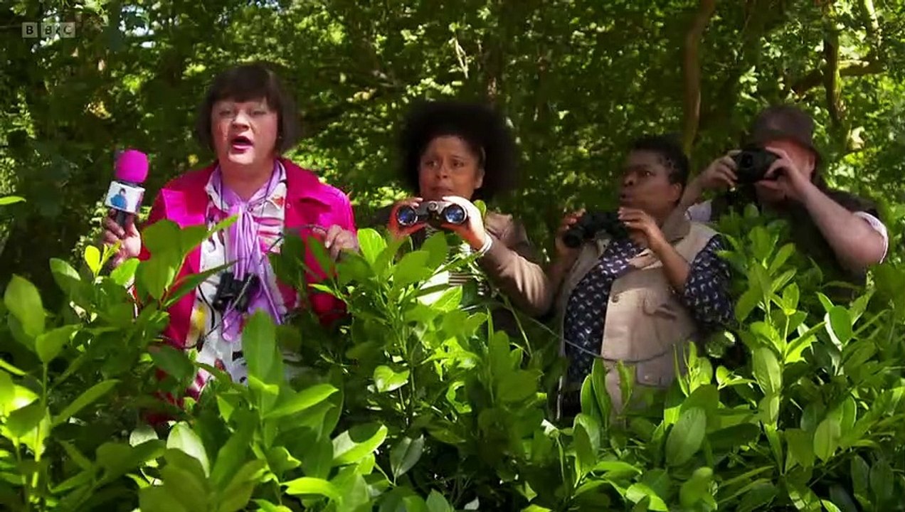 Gigglebiz, Series 5, Episode 4 - Dina Lady's Chocolate Cake - video ...