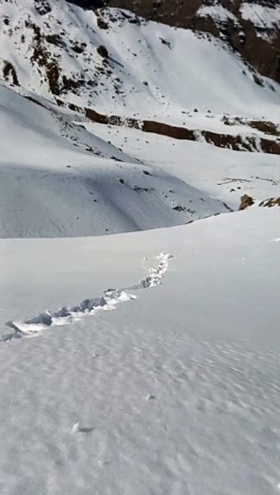 Sticky Snow Helps Snowballs Grow - video Dailymotion