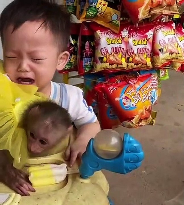 baby monkey videos cute, cute monkey baby playing, bandar mama comedy ...
