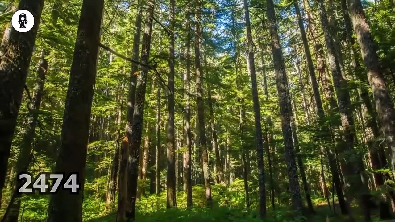 Earth In 2067, You Need To Pay For Oxygen Or Die !!! - video Dailymotion