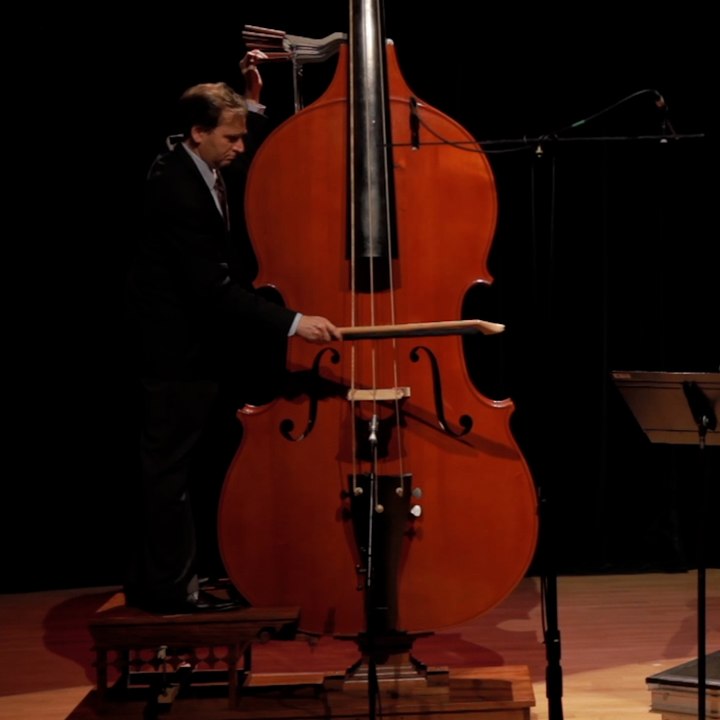 L’octobasse, le plus grand et le plus grave des instruments à cordes ...