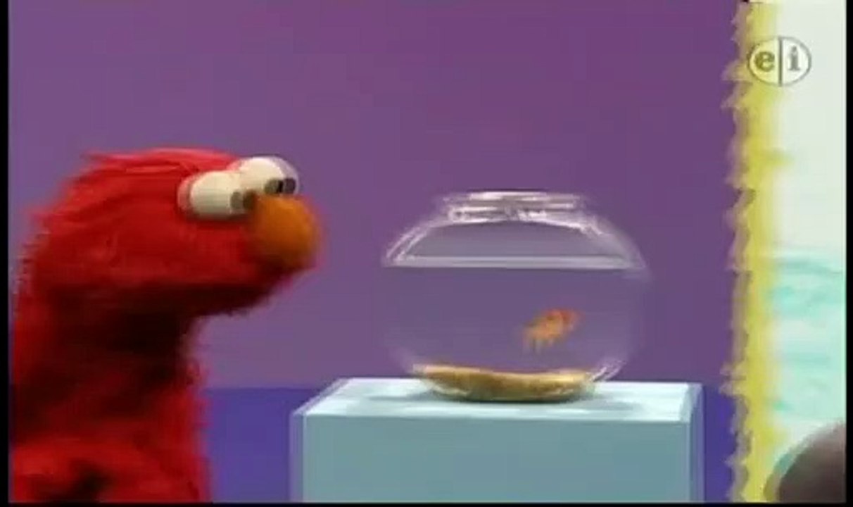Elmo's World Asking a baby - How do you swim in water? - video Dailymotion