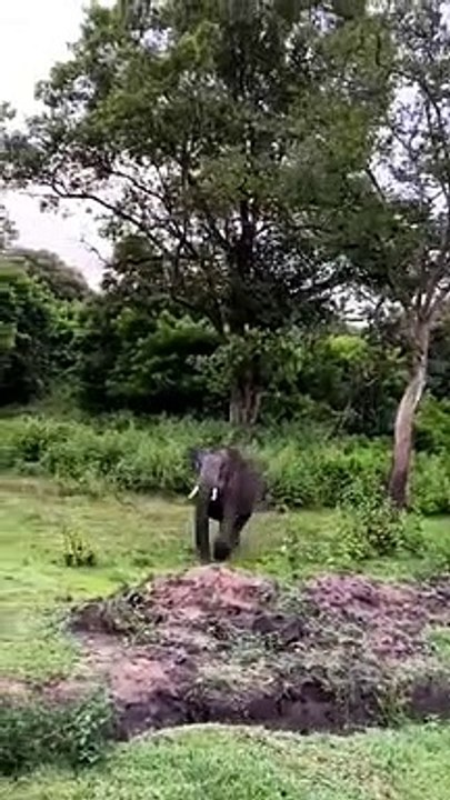 Facebook_1662623815988(360p) - video Dailymotion