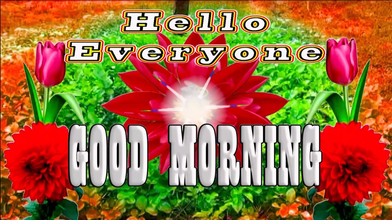 Hello Everyone | Good Morning | GOOD MORNING WISHES | GOOD MORNING ...