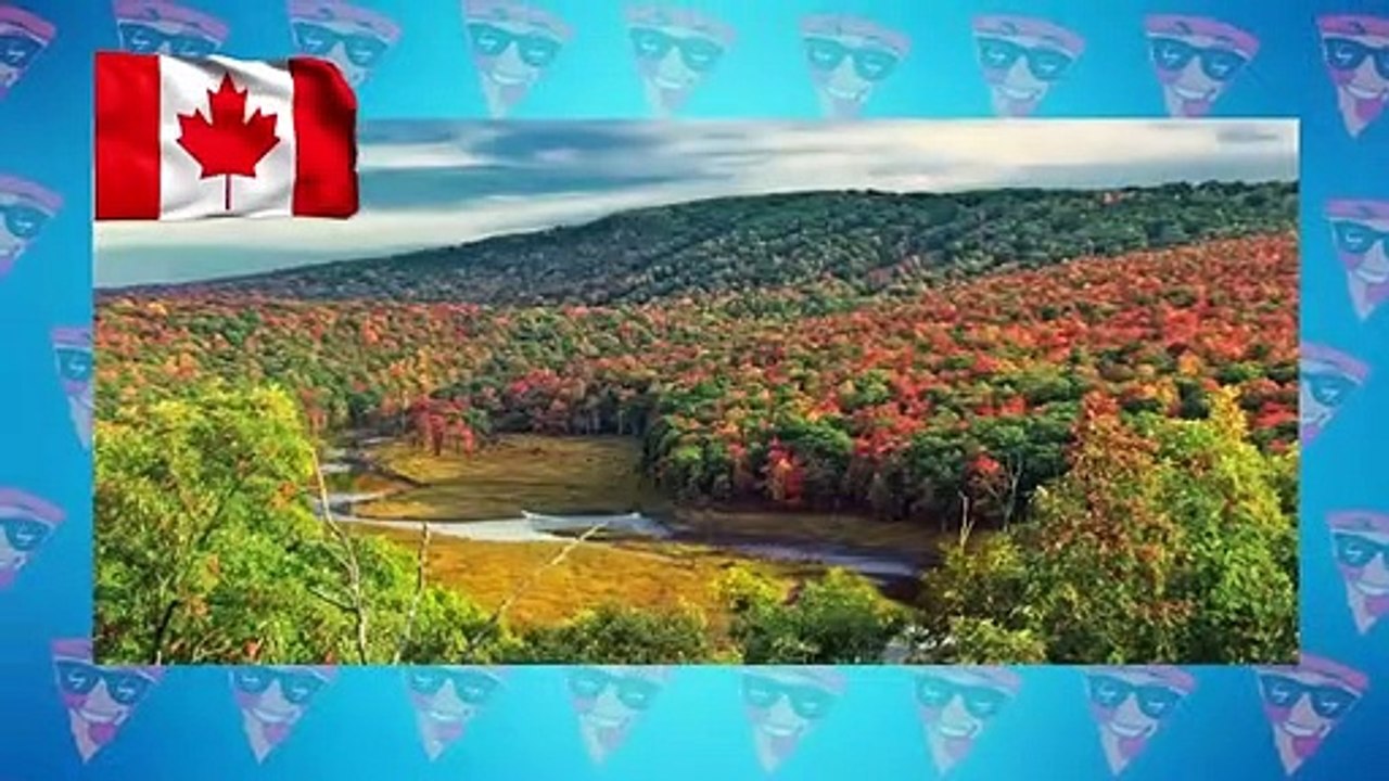 Rarest Cross Breed Hybrid Animals In The World - video Dailymotion