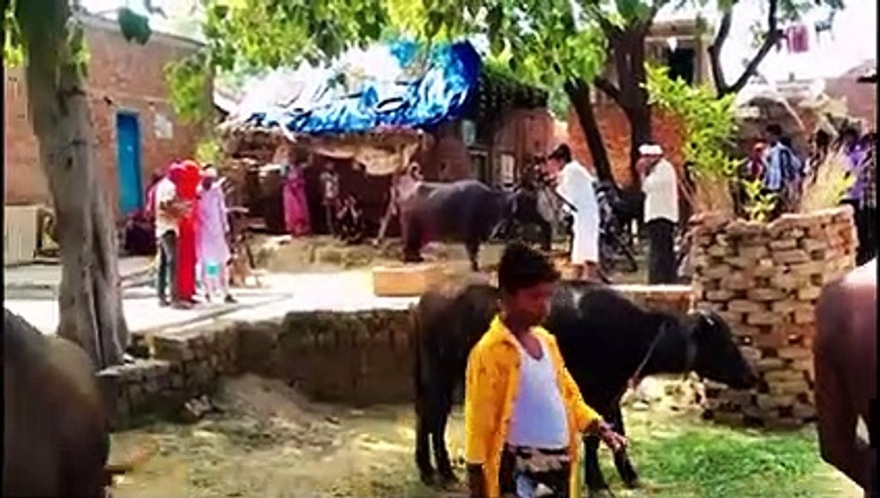 रामप्यारे की शूटिंग कैसे होती है_ देखें Ram Pyare Ki Shooting Kese Hoti ...