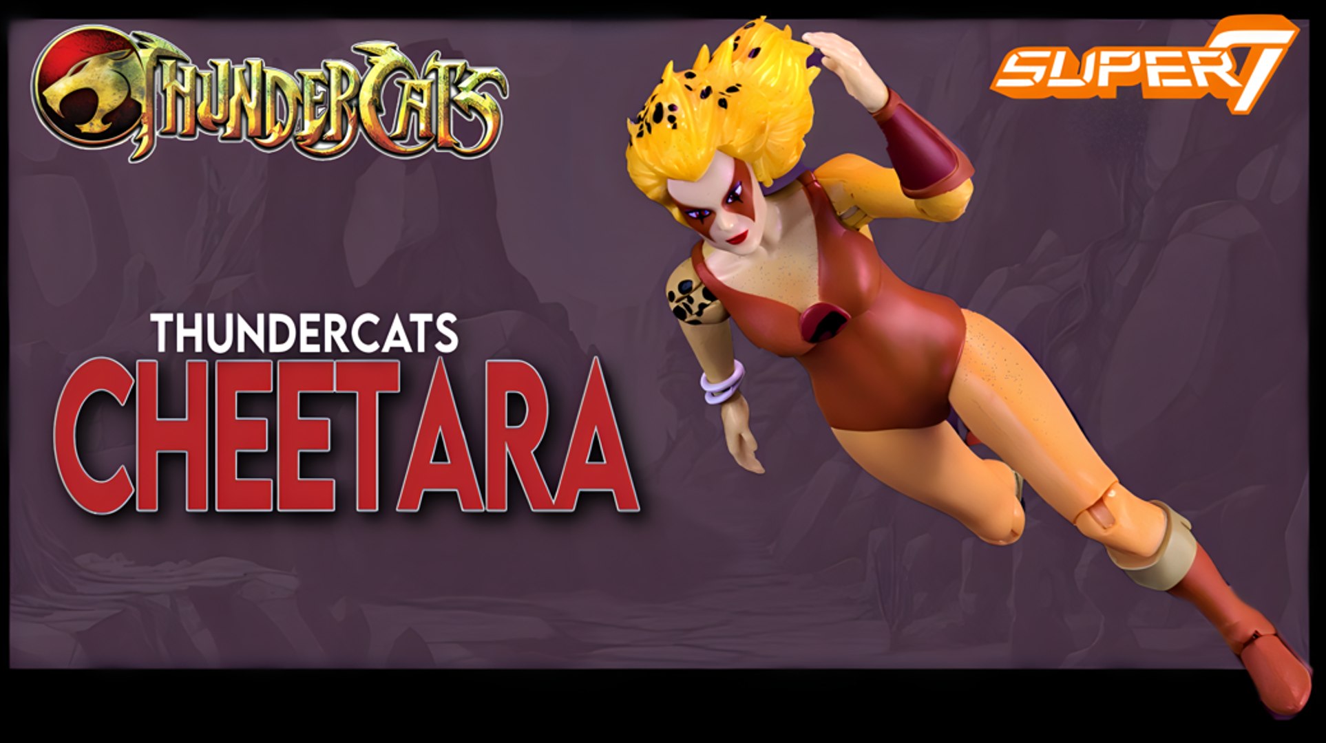 Cheetara 2011 Wallpaper