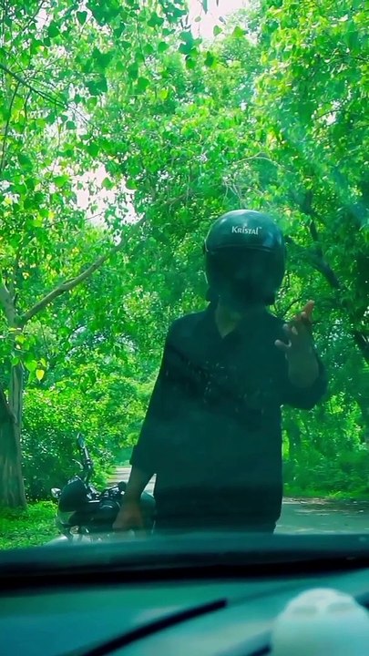 Dashing Lady ️ - video Dailymotion