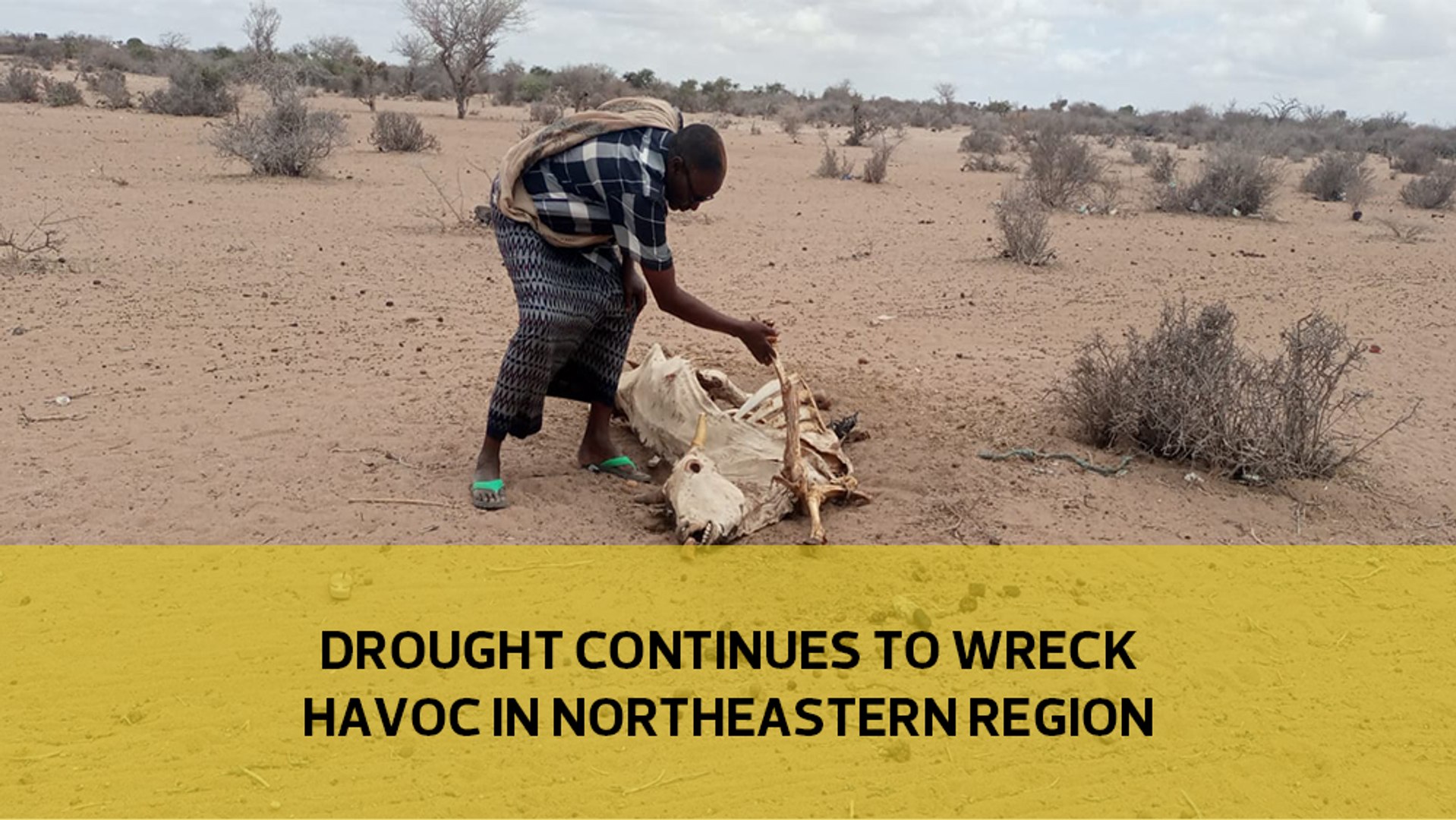 Drought Wreck