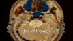 Human Body - Brain Power - video Dailymotion