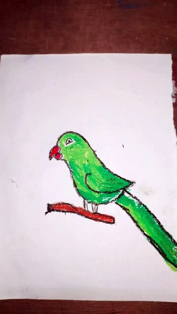 Parrot Drawing Easy, Parrot On Tree Drawing, How To Draw A, 58% OFF