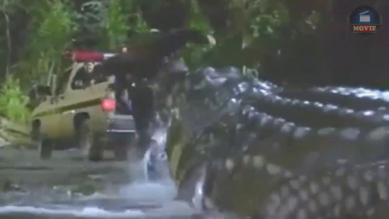 CROCODILE | Hollywood Movie Best Cut Scene ! Mark McLachlan Caitlin ...