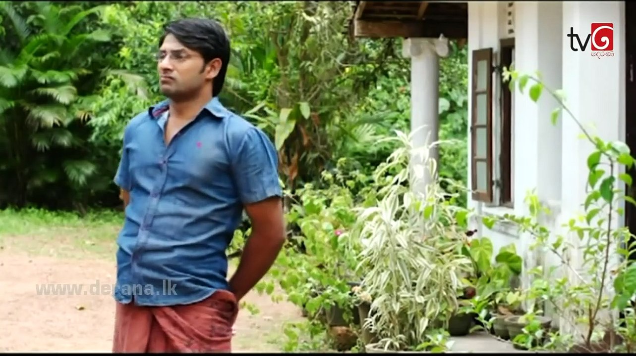 Neela Paligu Diya Episode 42 - video Dailymotion