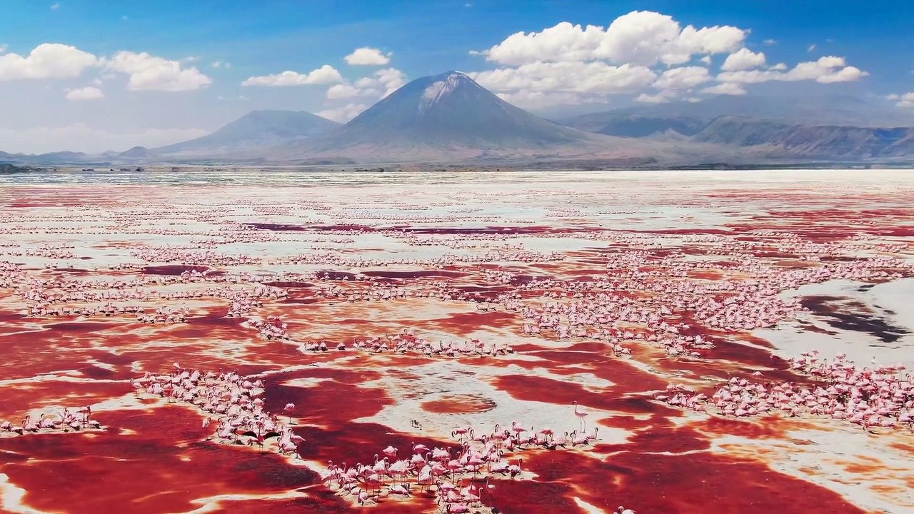 A Perfect Planet EP1 - Volcanoes (2021) - video Dailymotion