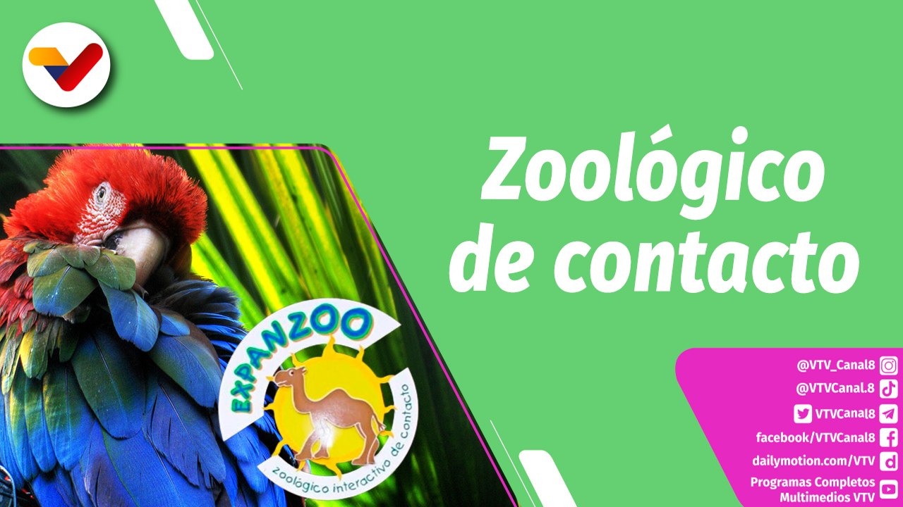 Buena Vibra Plus | Un día en el zoológico interactivo de contacto ...