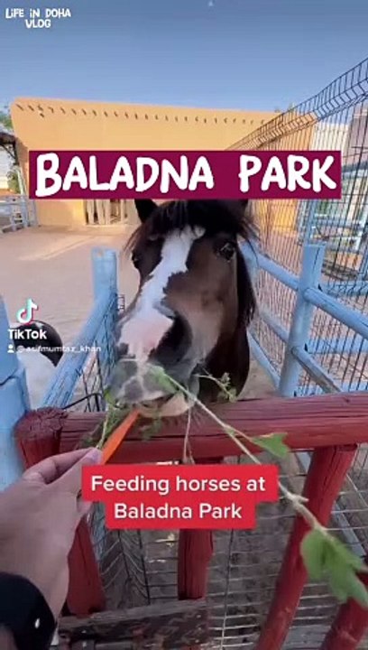 Baladna Park Tour | Perfect Place To Visit With Kids in Qatar - video ...