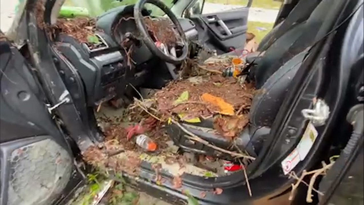 Reed Timmer's Dominator vehicle damaged by Ian's storm surge - video ...