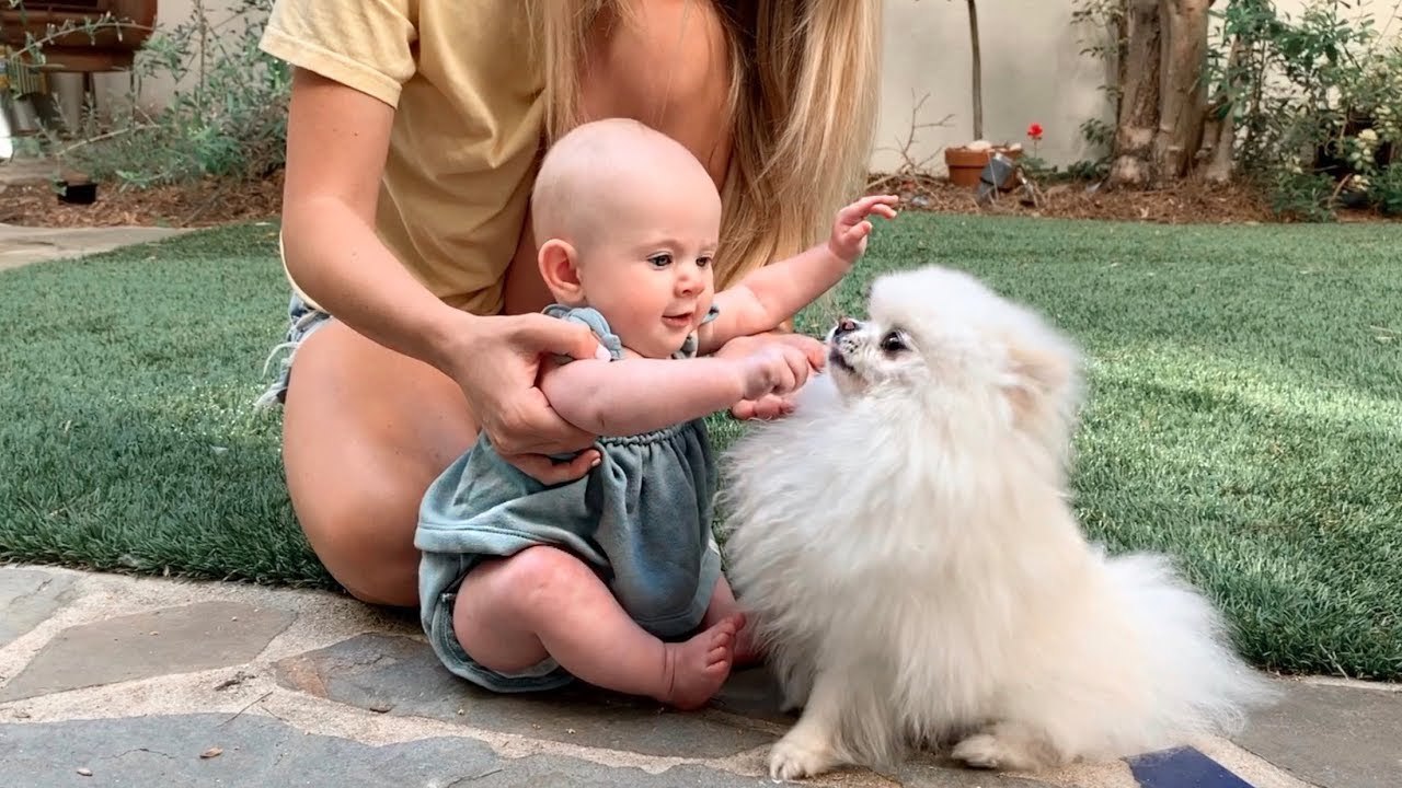 Baby Posie and Our Puppy Share Cutest Interaction Ever Caught On Camera ...