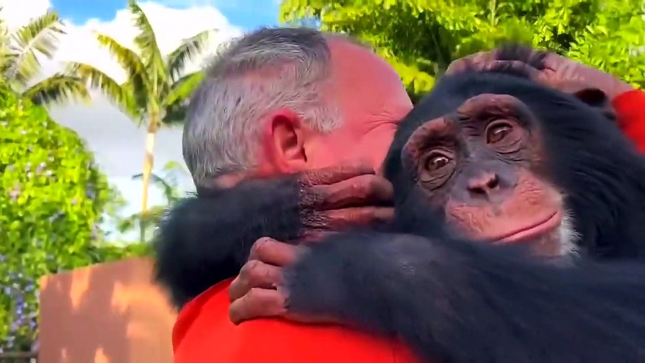 ANIMALS REUNITED WITH OWNERS AFTER YEARS - video Dailymotion