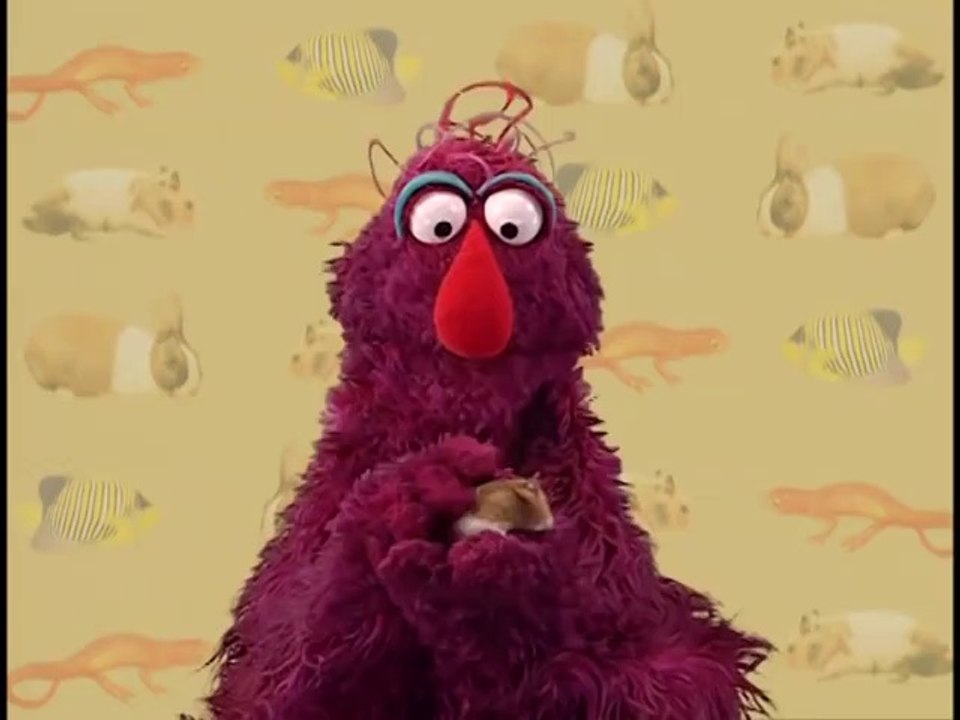 Elmo’s World - Pets (2001) - video Dailymotion