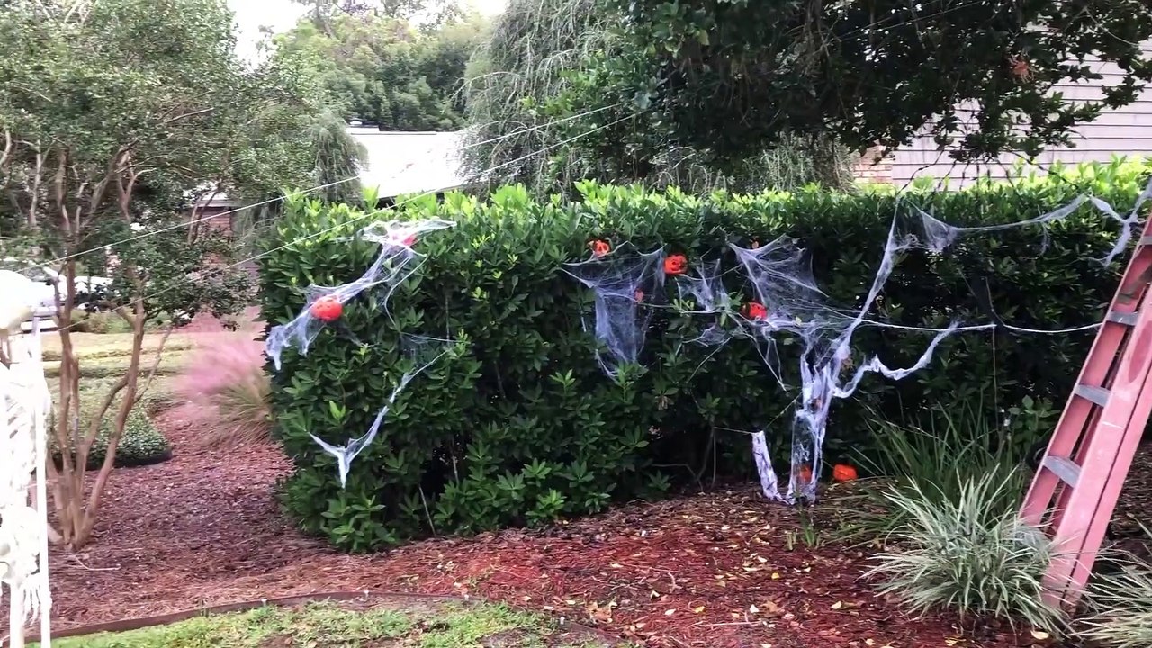 Halloween 2019 10 26 10 44 41 - video Dailymotion