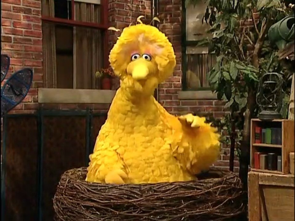 Elmo’s World - Birds (2001) - video Dailymotion