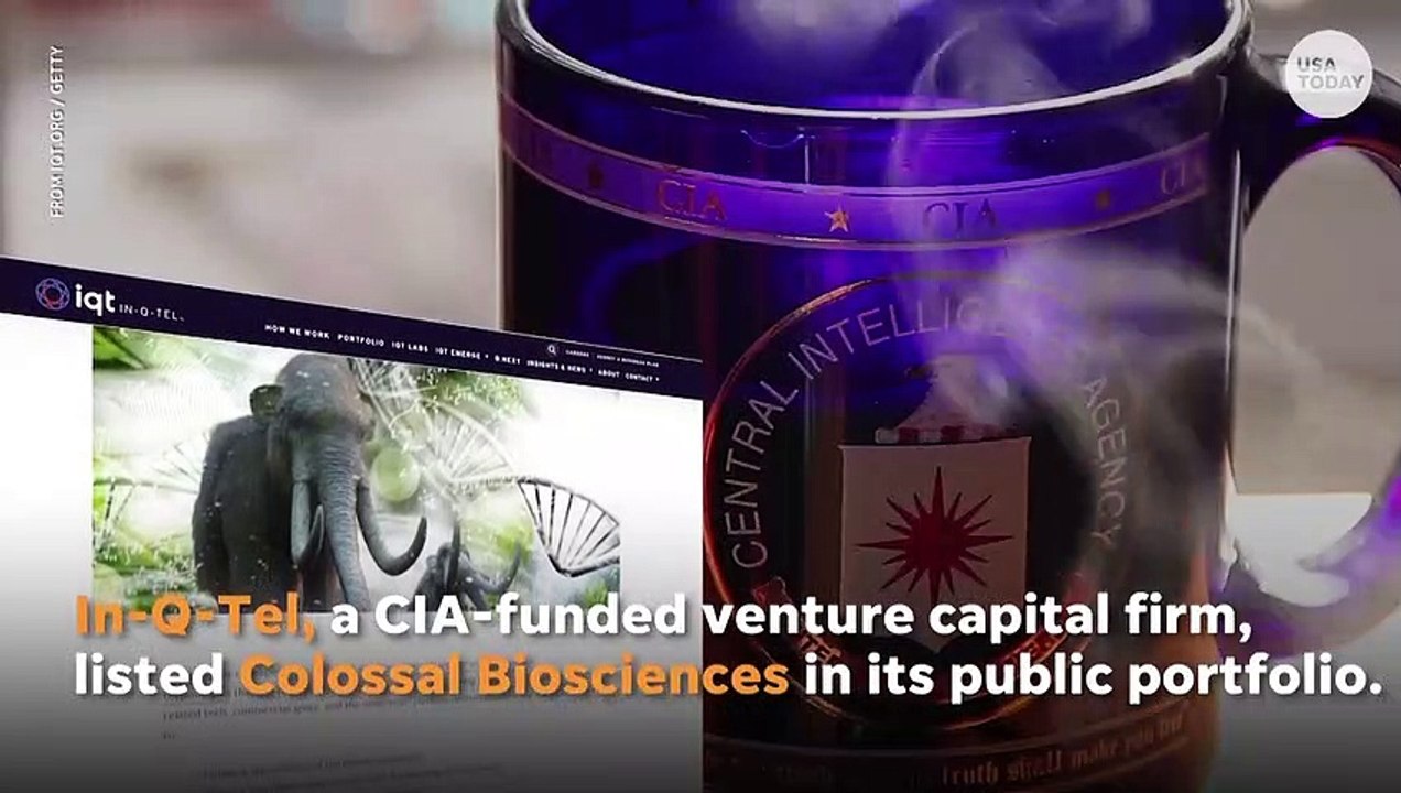 CIA-funded In-Q-Tel backs biotech to resurrect woolly mammoth - video ...