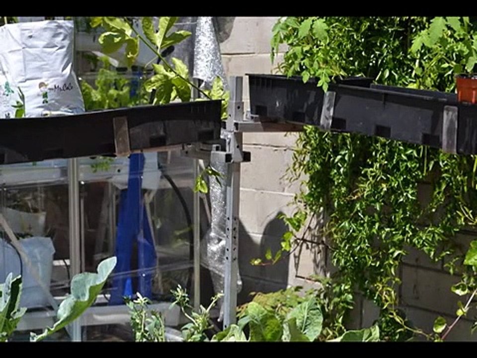 Hydroponic gutter rack system for dutch leach trays - video Dailymotion