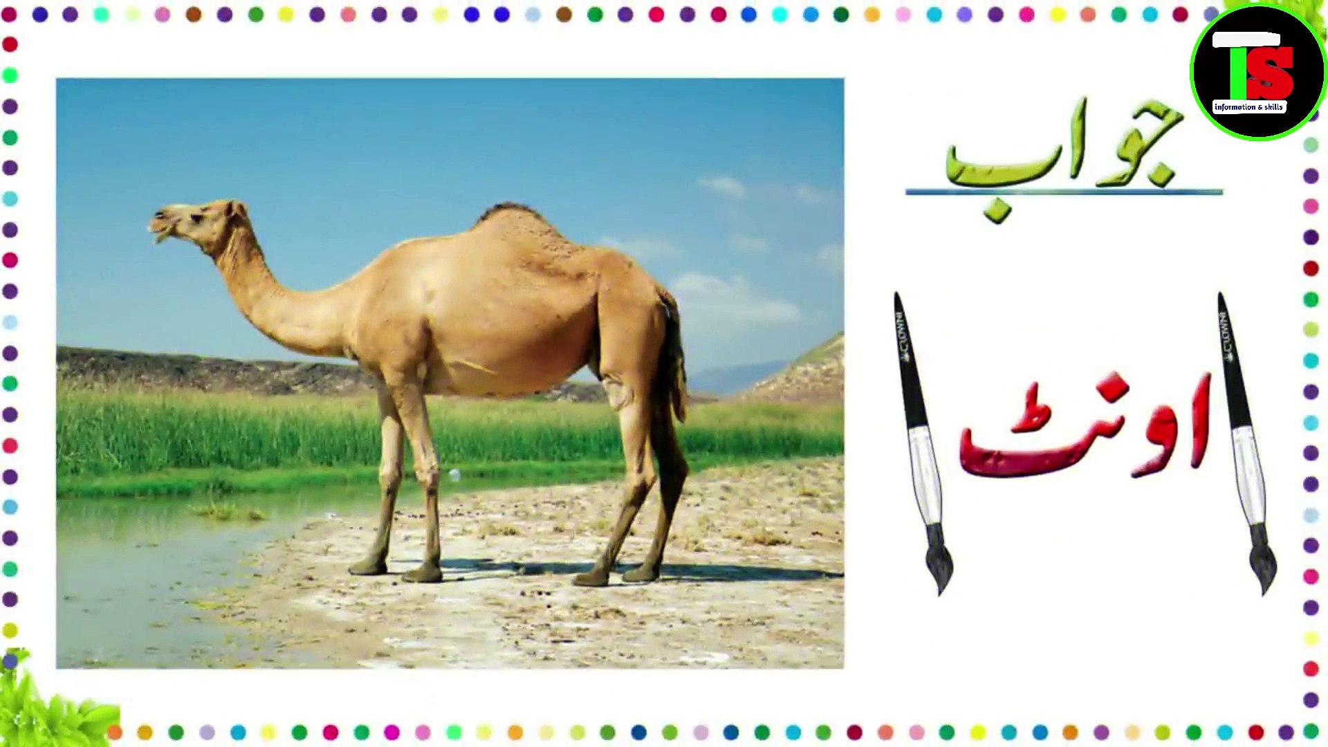 Paheliyan In Urdu With Answers