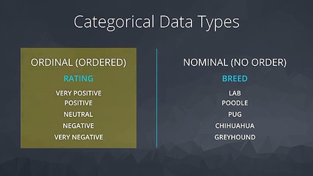 4 - Categorical Ordinal & Nominal Data - video Dailymotion