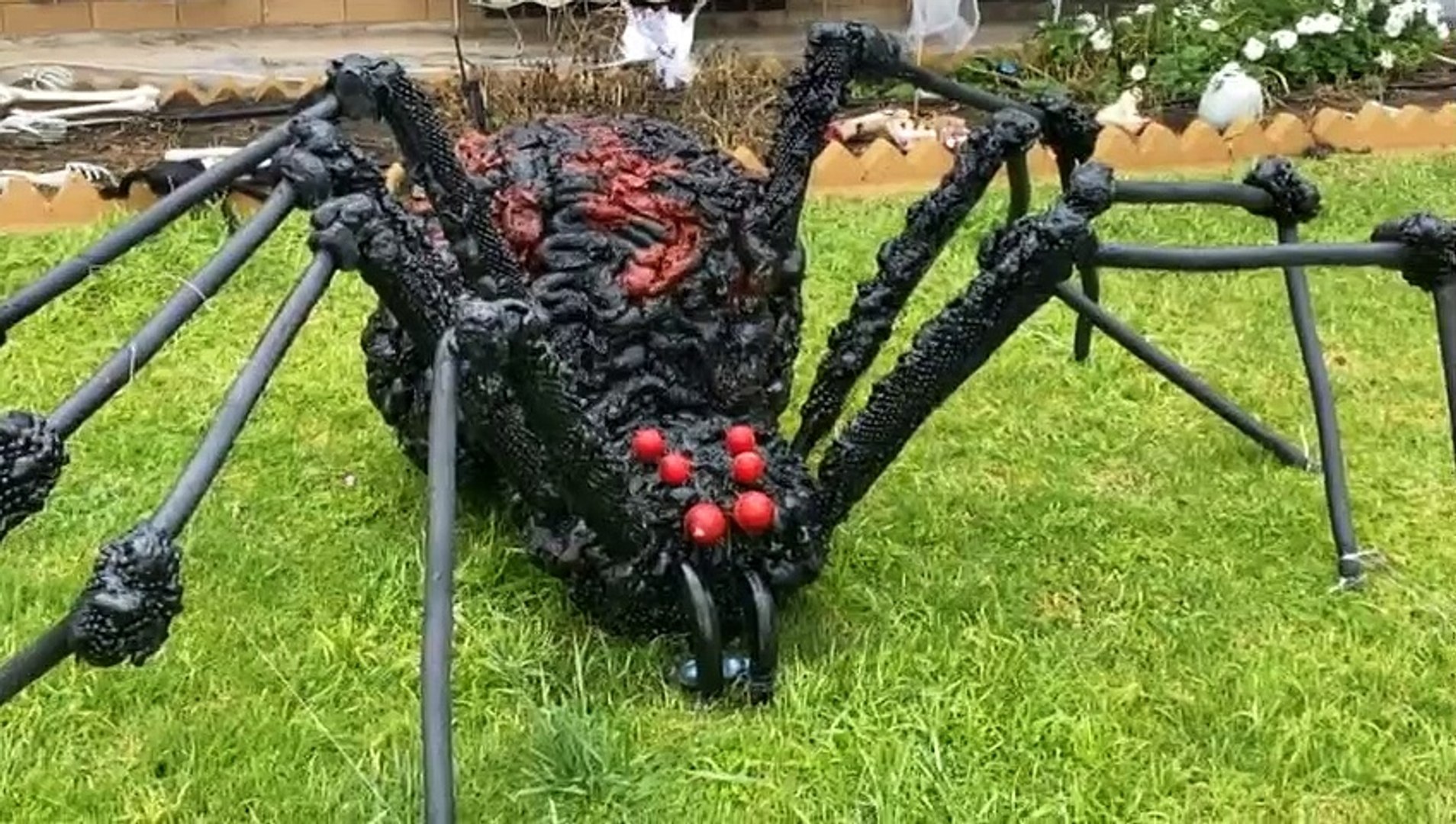 It's the second week of October and for some that signals the start of ...