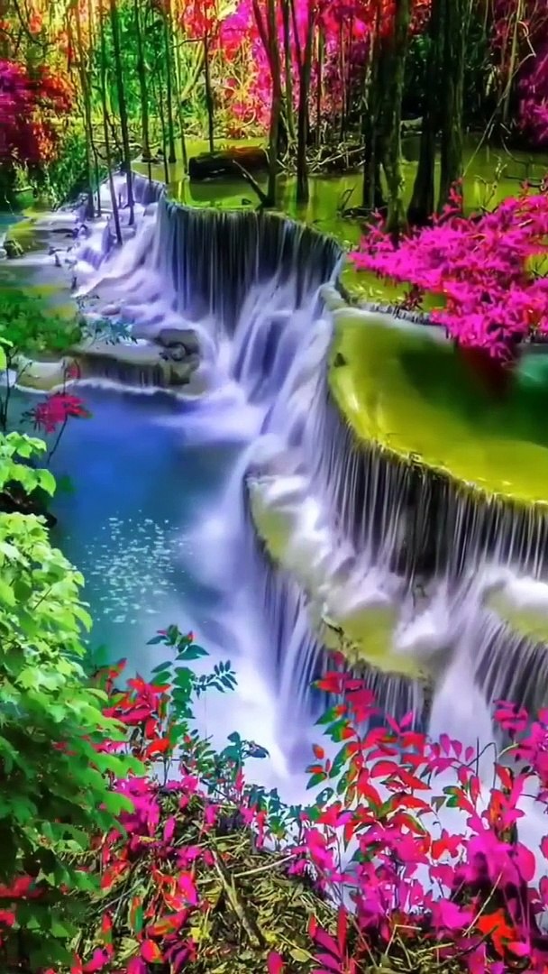 Beautiful Nature Videos