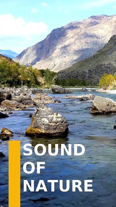 Wild is calling - video Dailymotion