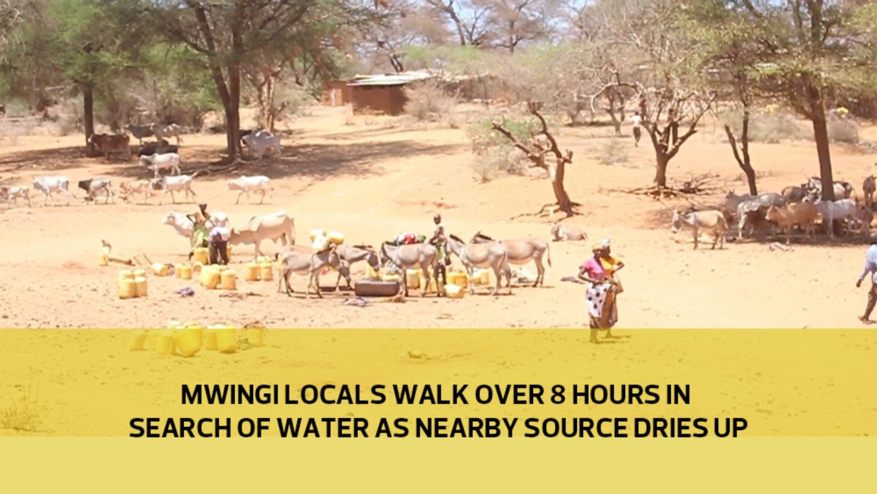Mwingi locals walk over 8 hours in search of water as nearby source ...