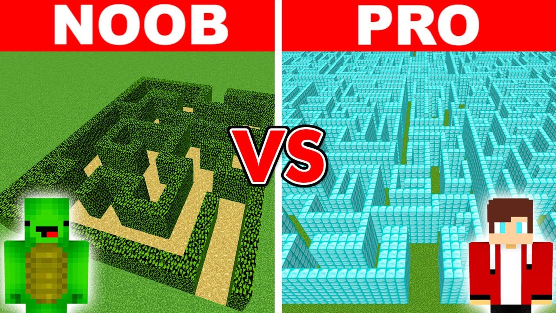 Minecraft Pro Vs