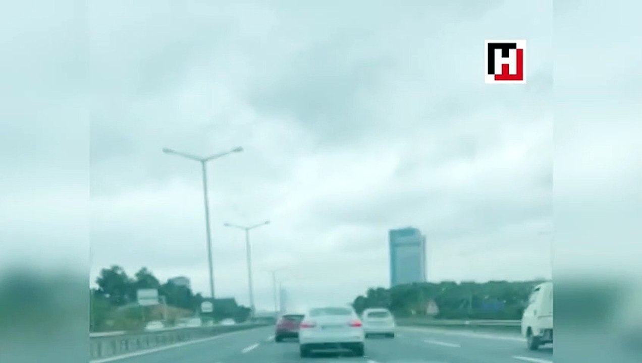 Cat causes multiple vehicle collision on Istanbul highway - Dailymotion ...