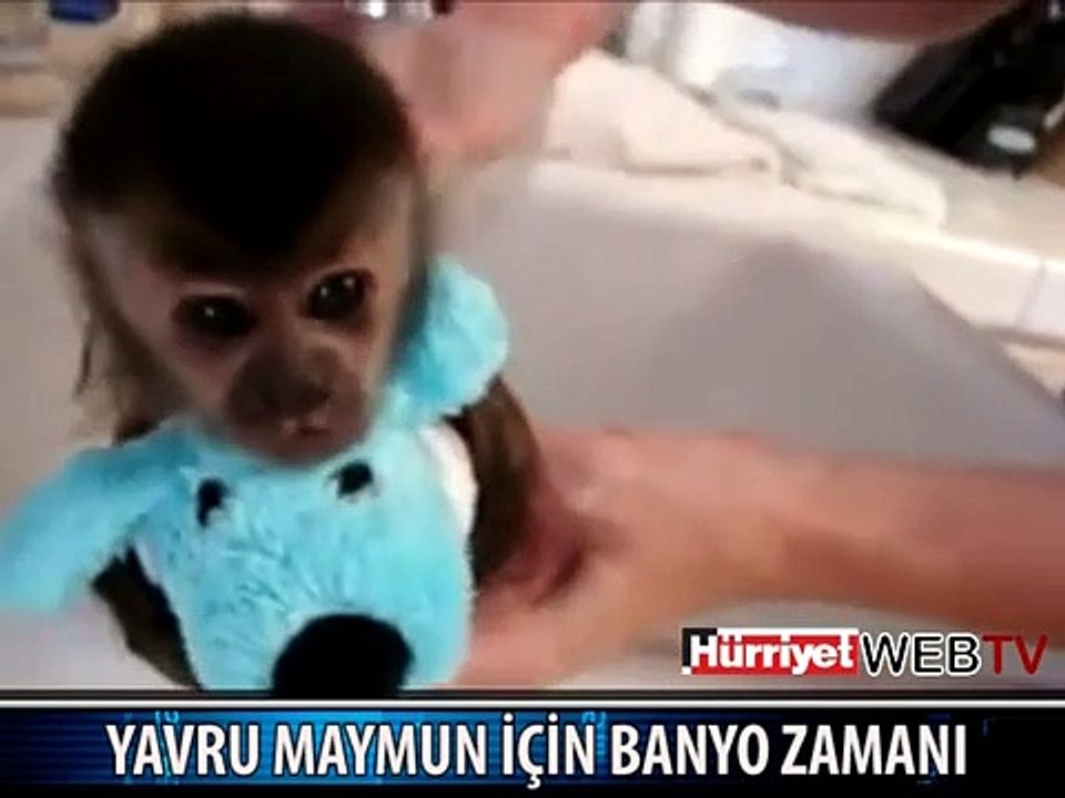 MİNİCİK MAYMUNUN BANYO KEYFİ - Dailymotion Video